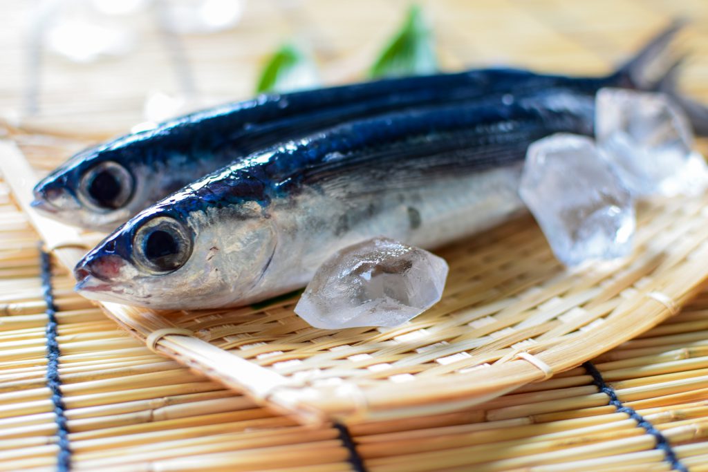 How to Tell if Your Fish is Fresh or Not? | BACKLANE